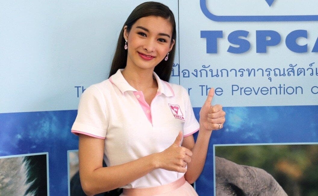 “มด-ณปภัช” ทูต TSPCA ชี้คนทำบุญ "โยนเหรียญลงสระเต่า" ไม่ได้บุญ อาจได้บาปกรรมติดตัวกลับบ้าน - โดด ...